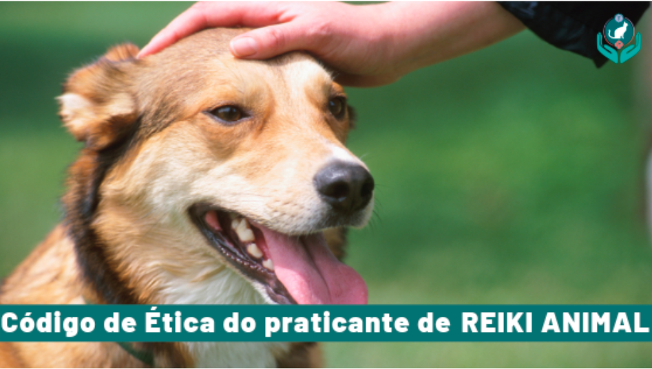 Código de ética do praticante de reiki animal - Blog - Centro de ...